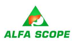 دكتور الفا سكوب - Alfa Scope نخبة منتقاة أساتذة التخصص من كبرى جامعات مصر - دليل أطباء كشوفات